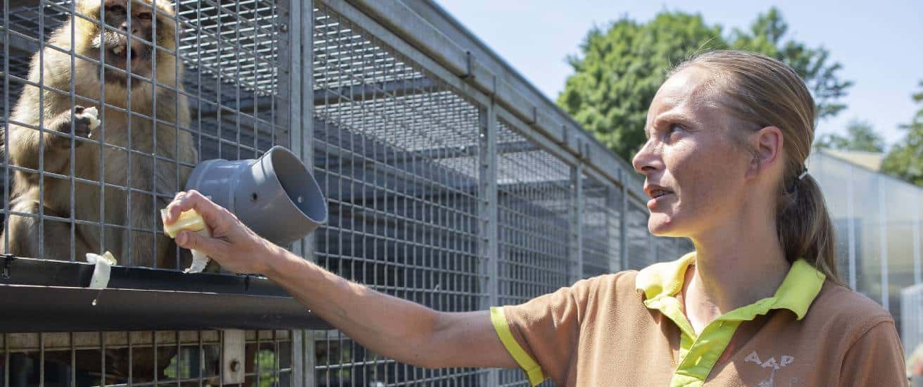 Zorg voor dieren in gedrang door coronavirus - Stichting AAP