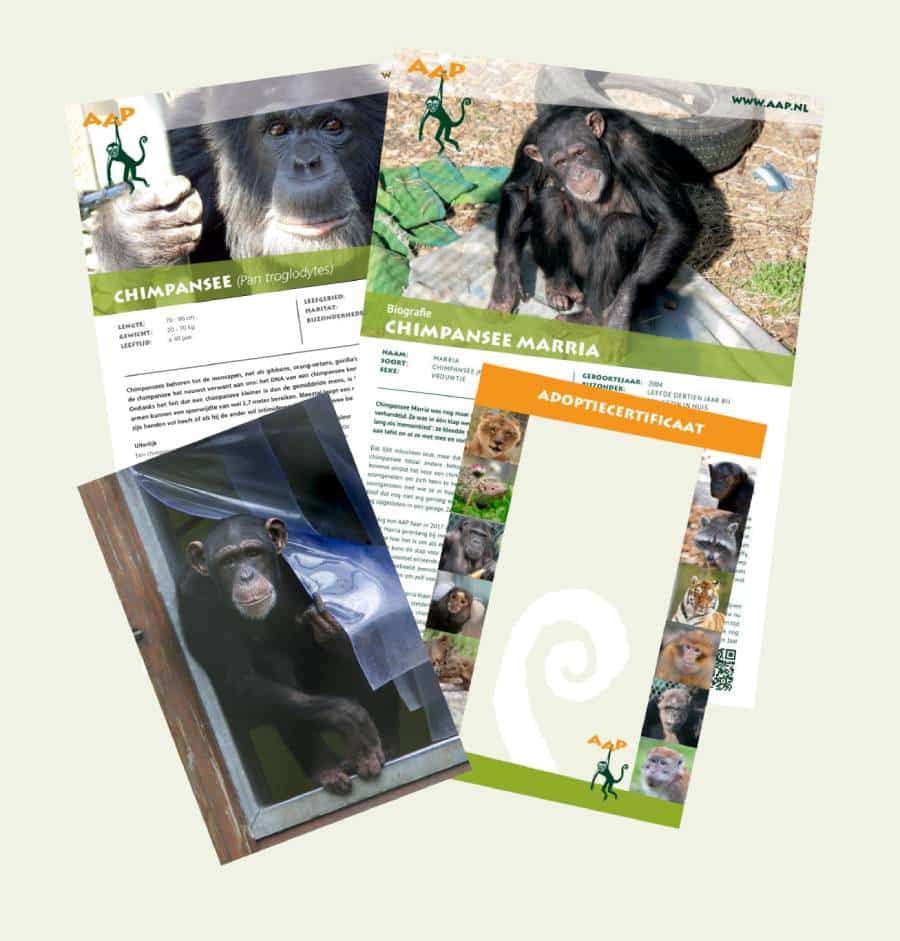 Adopteren - Stichting AAP